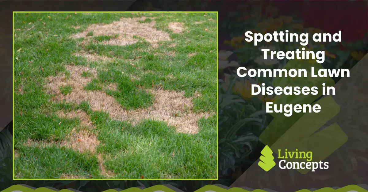 Spotting and Treating Common Lawn Diseases in Eugene